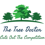 Tree Health Assessments in Jonesborough, TN | The Tree Doctor